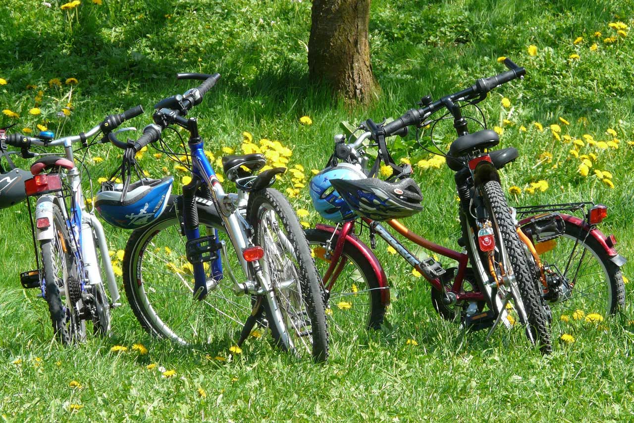 Mountain biking - Dunedin City Council