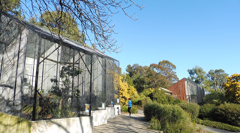 Dunedin Botanic Garden Aviary Delivers Information Critical to ...